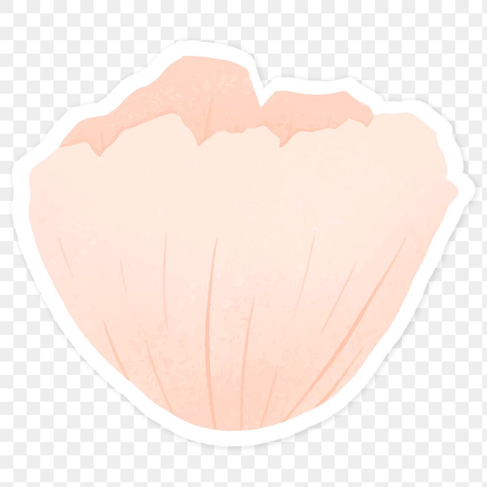 Pale orange flower sticker transparent | Free PNG Sticker - rawpixel
