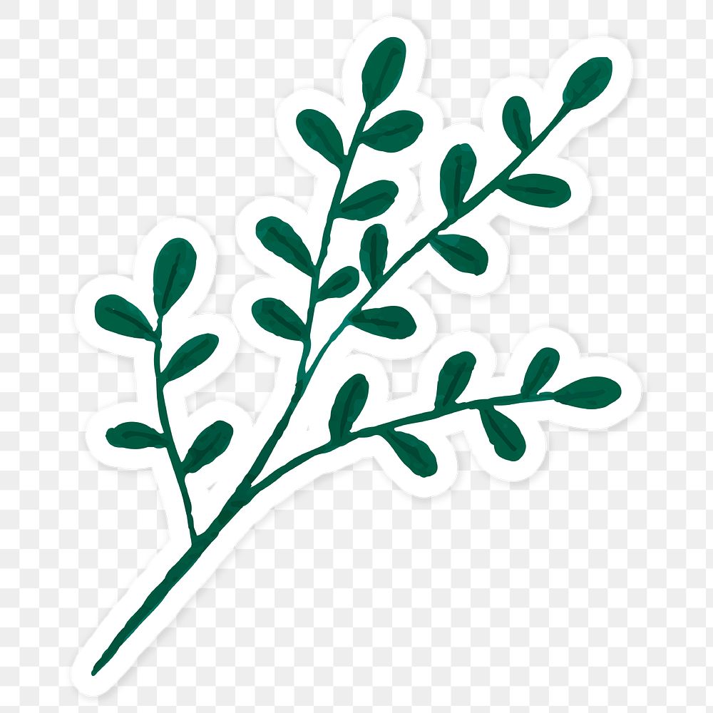 Green leaves sticker transparent png | Free PNG Sticker - rawpixel