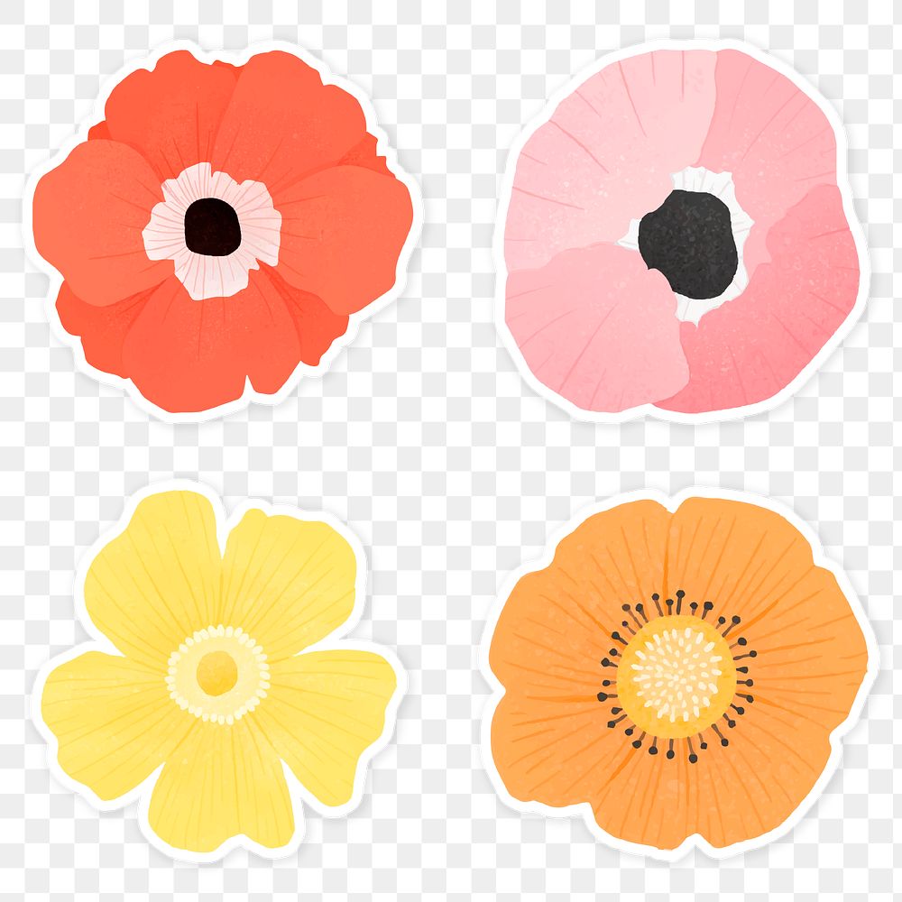 Colorful floral sticker set transparent | Premium PNG - rawpixel