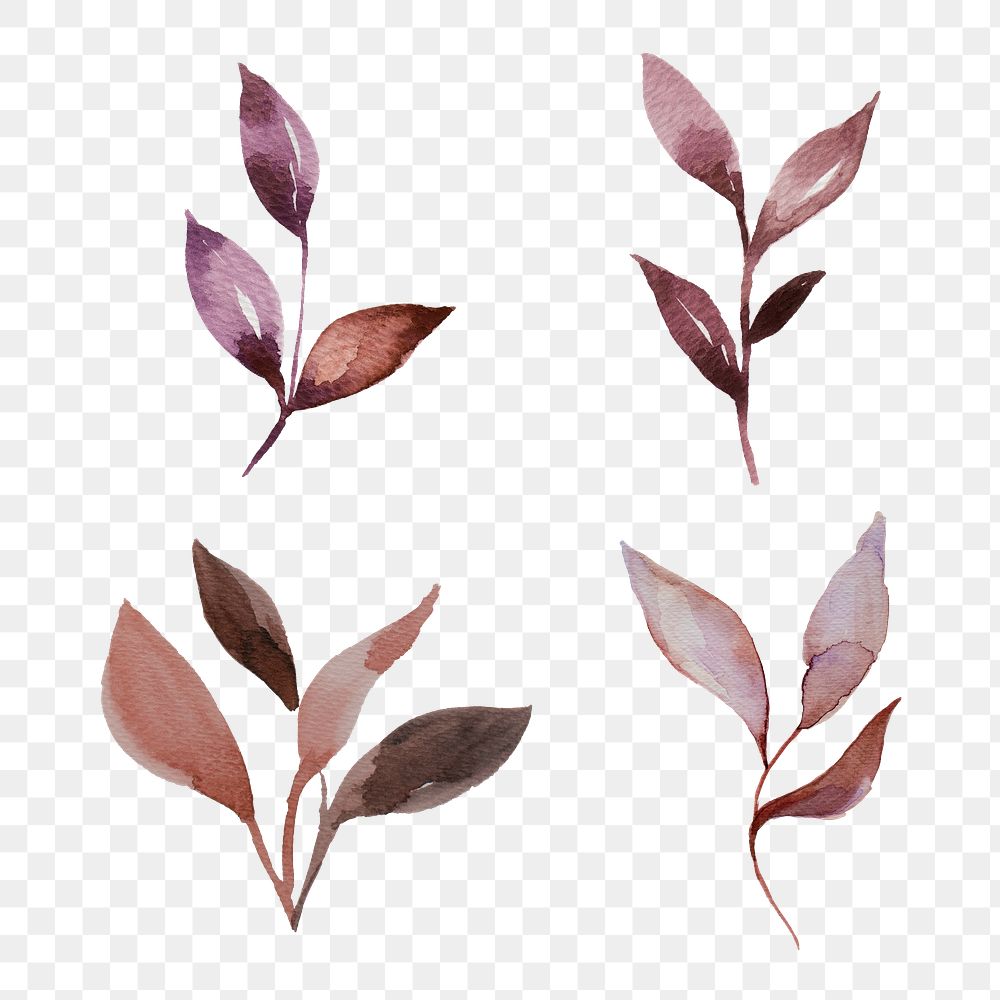 Hand painted watercolor leaves transparent | Free PNG - rawpixel