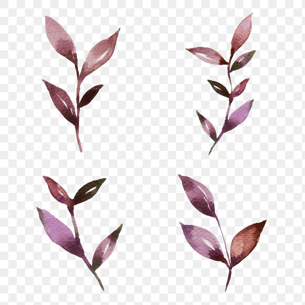 Hand painted watercolor leaves transparent | Premium PNG - rawpixel