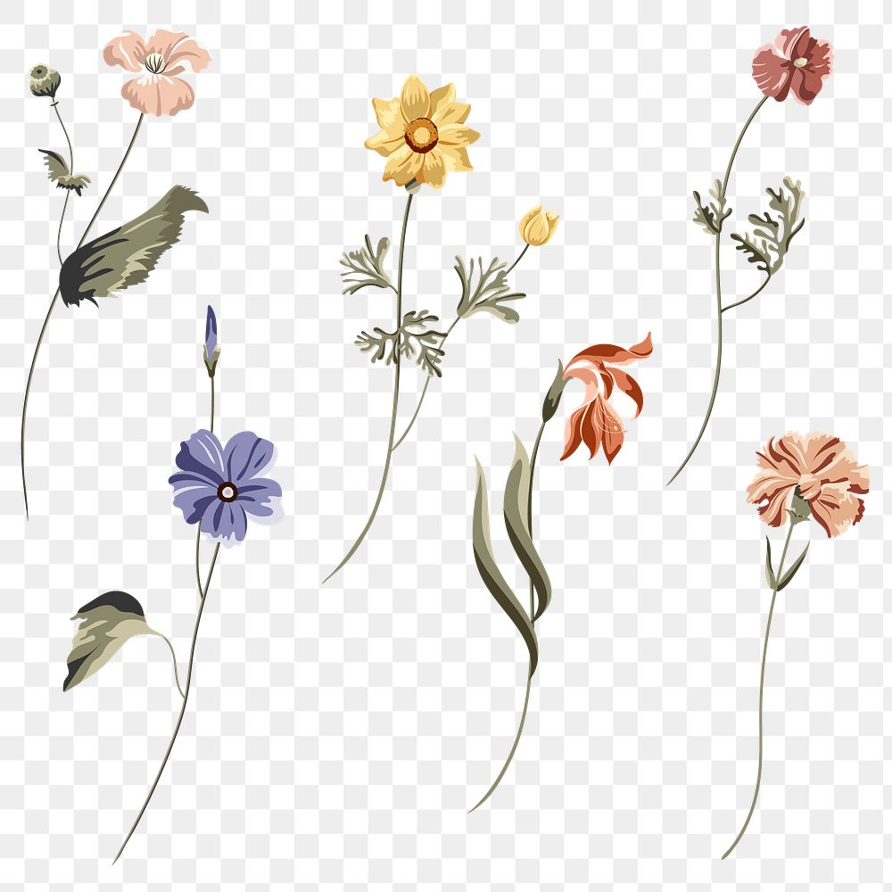 Blooming flowers design element set | Premium PNG - rawpixel