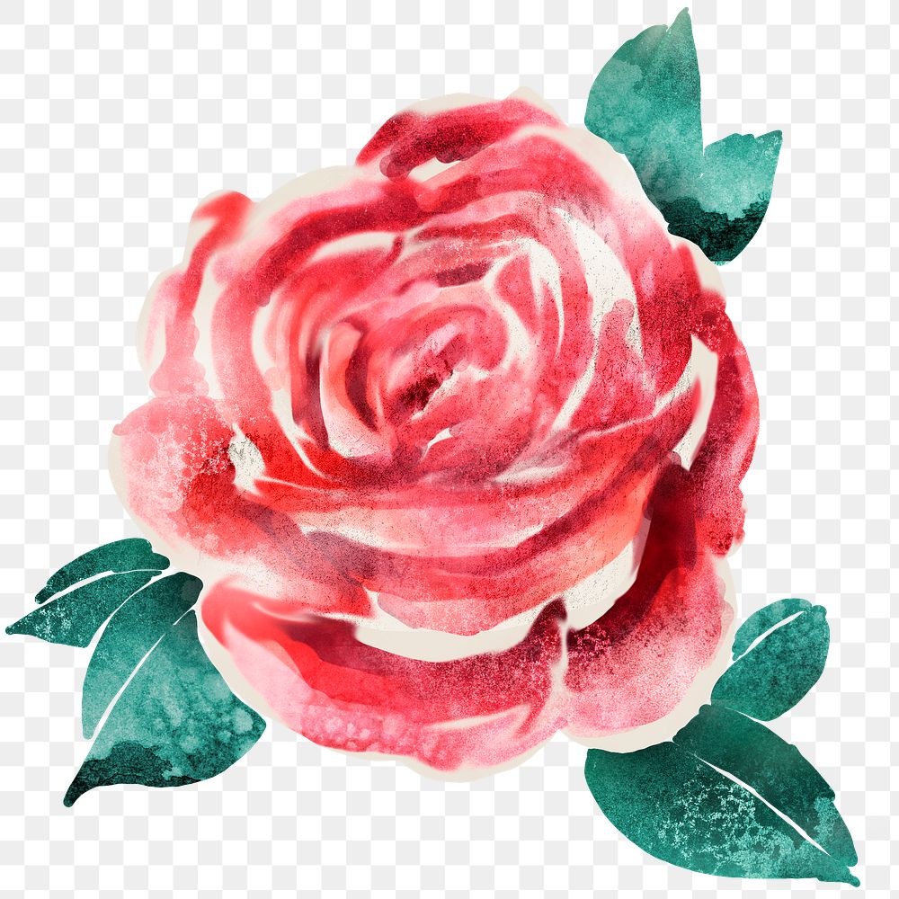 Watercolor red rose flower sticker | Premium PNG Sticker - rawpixel