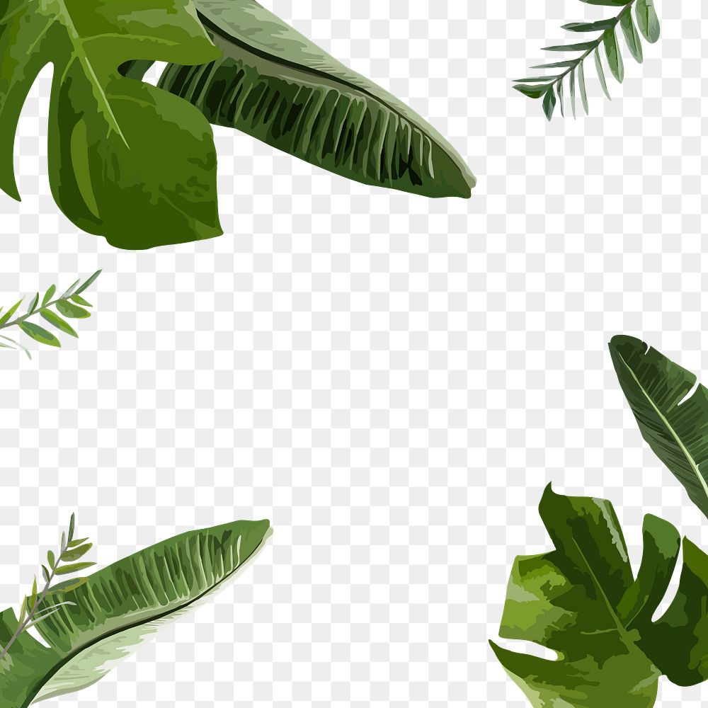 Botanical frame PNG clipart border, | Free PNG - rawpixel