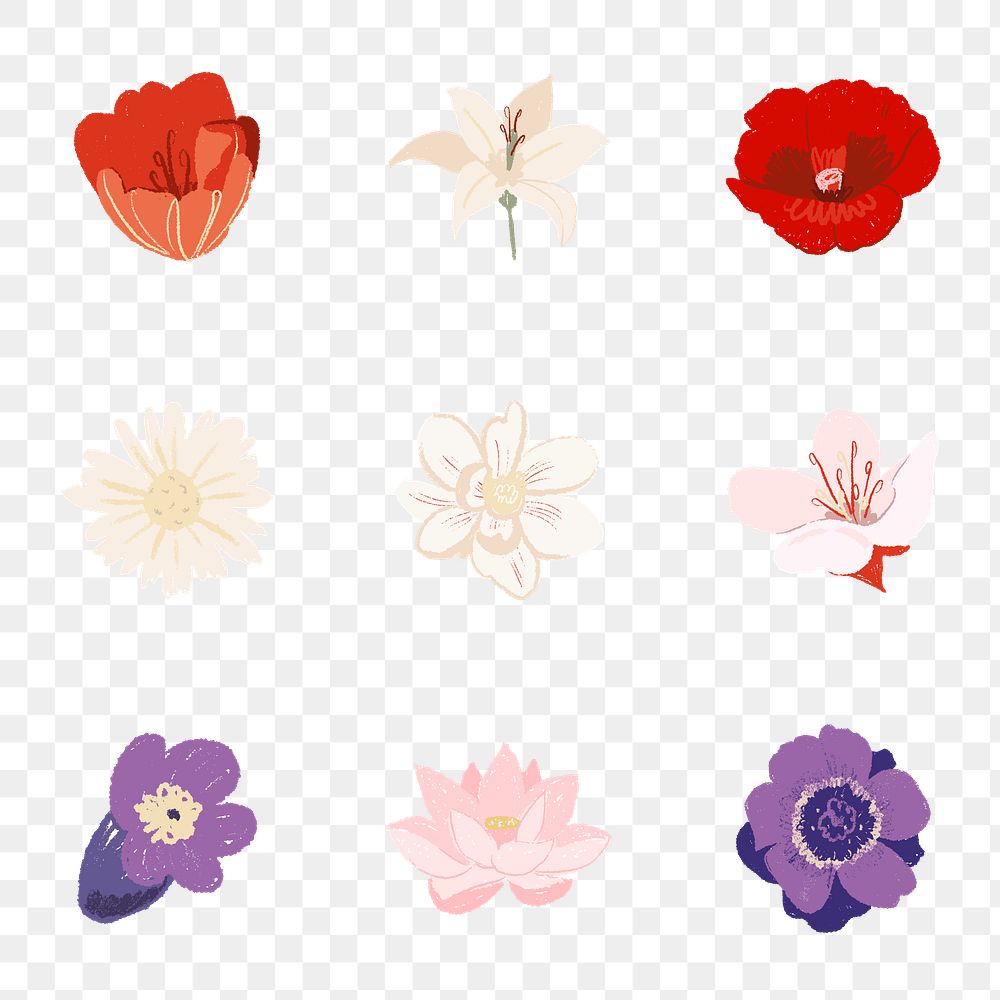 Flower png stickers colorful illustration | Premium PNG - rawpixel