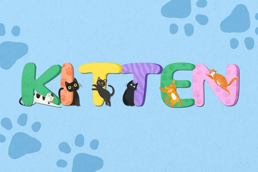 The Cat Font | Premium Editable Design - rawpixel