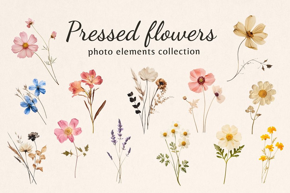 Pressed flower element set remix | Premium Editable Design - rawpixel