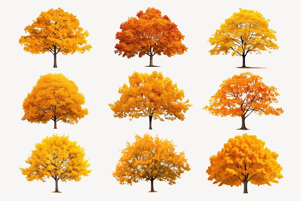 Editable Autumn tree set | Premium Editable Design - rawpixel