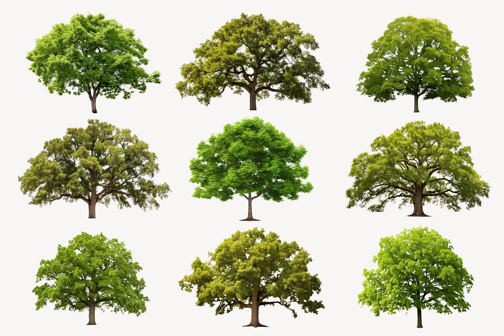 Big green tree element set | Premium Editable Design - rawpixel