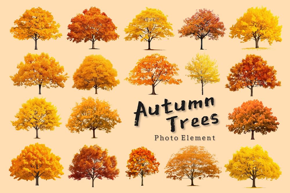 Editable Autumn tree set | Premium Editable Design - rawpixel