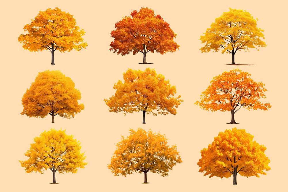 Editable Autumn tree set | Premium Editable Design - rawpixel