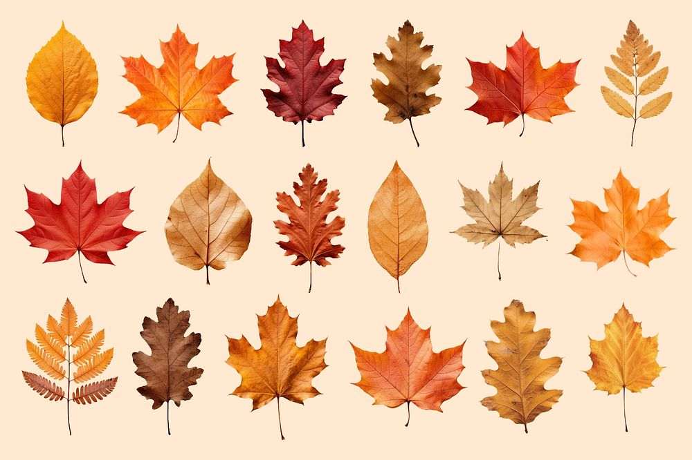 Aesthetic Trees Templates | Download Free Designs on rawpixel