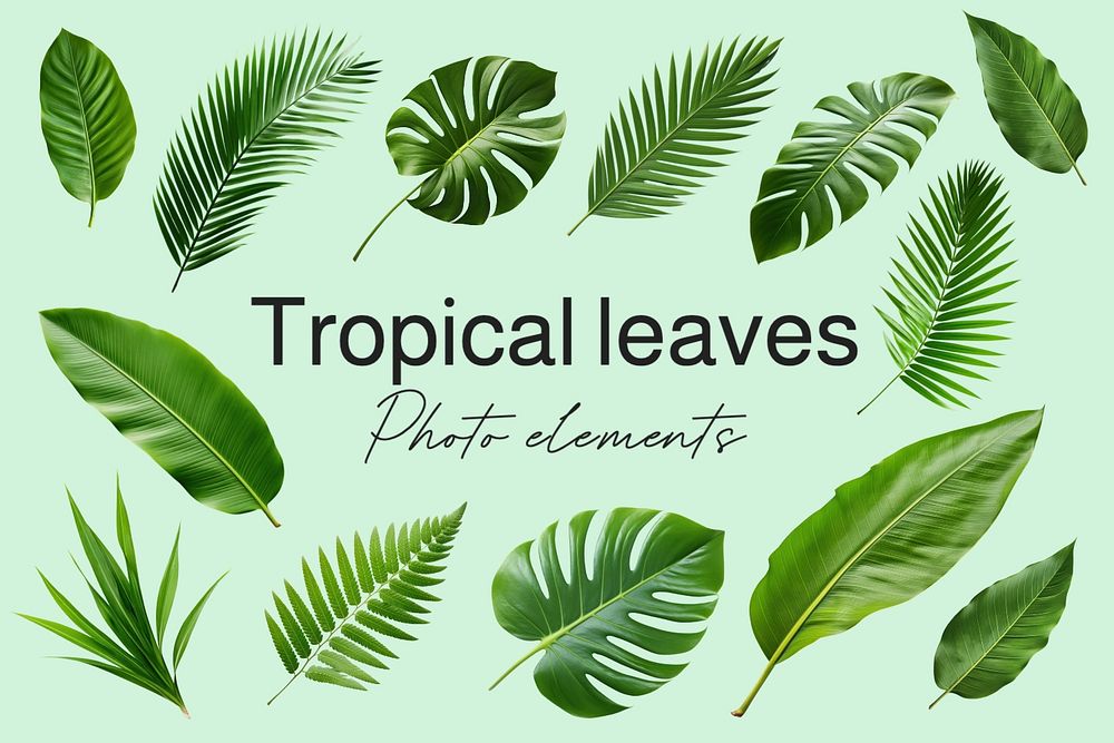 Tropical leaf element set remix | Premium Editable Design - rawpixel