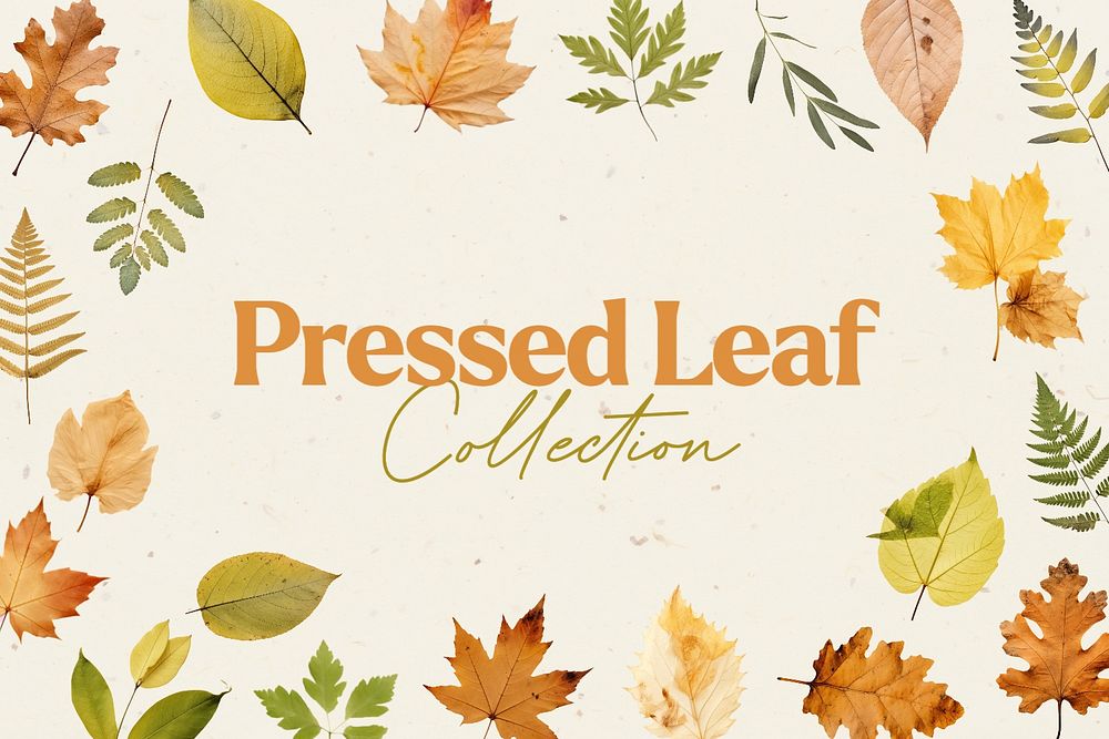Fall pressed leaves isolated element | Premium Editable Design - rawpixel