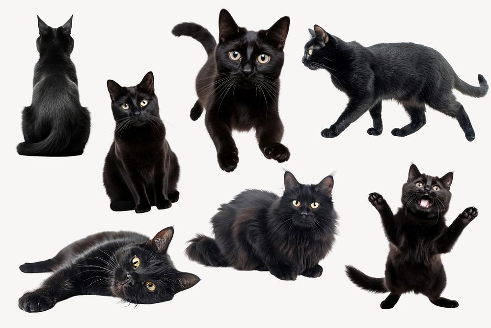 British Templates | Download Free Designs on rawpixel