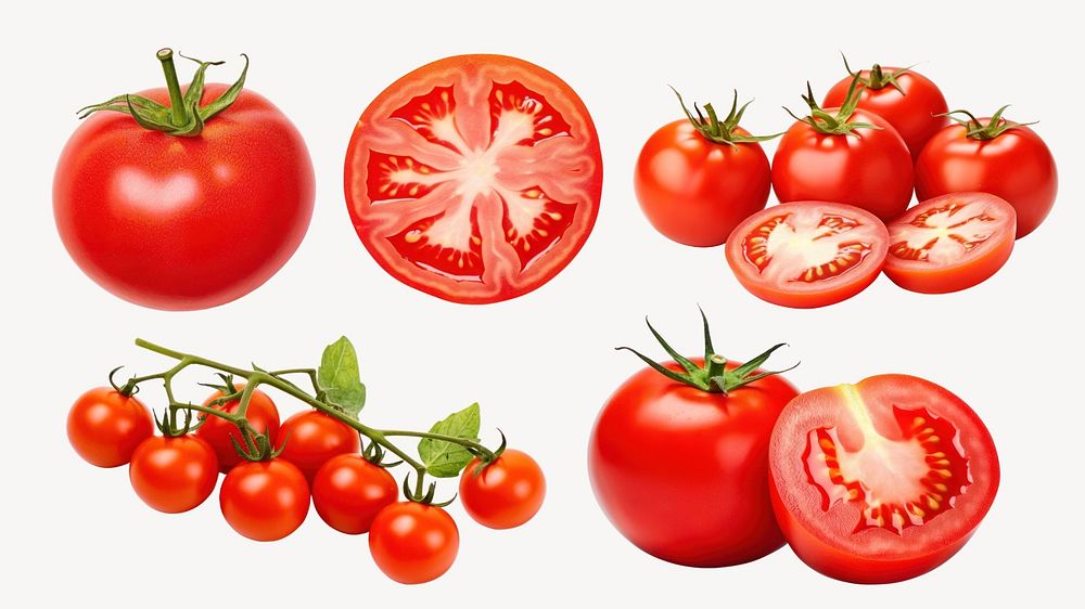 Tomato isolated element set | Premium Editable Design - rawpixel