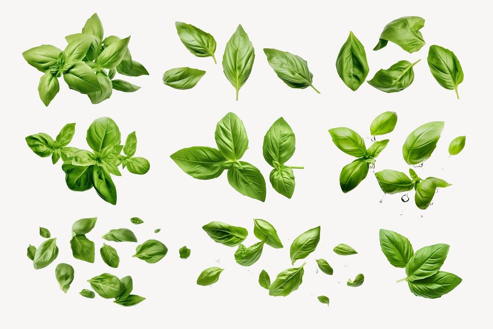 Basil leaf food element, editable | Premium Editable Design - rawpixel