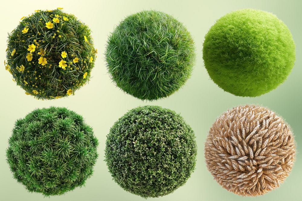 Spherical lush flat lay set, | Premium Editable Design - rawpixel