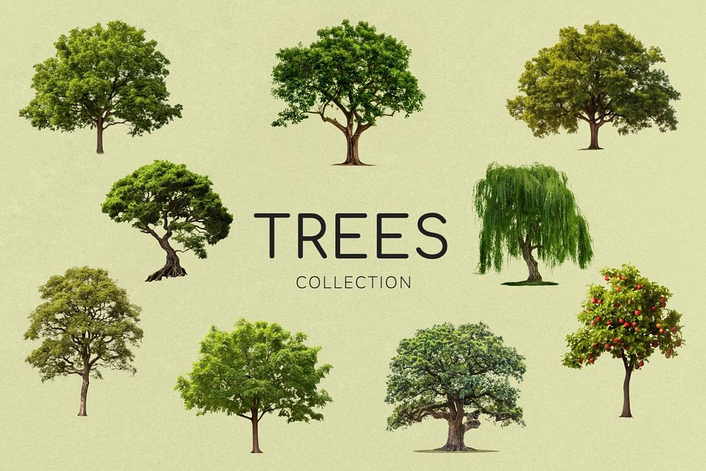 Green tree set, editable design | Premium Editable Design - rawpixel
