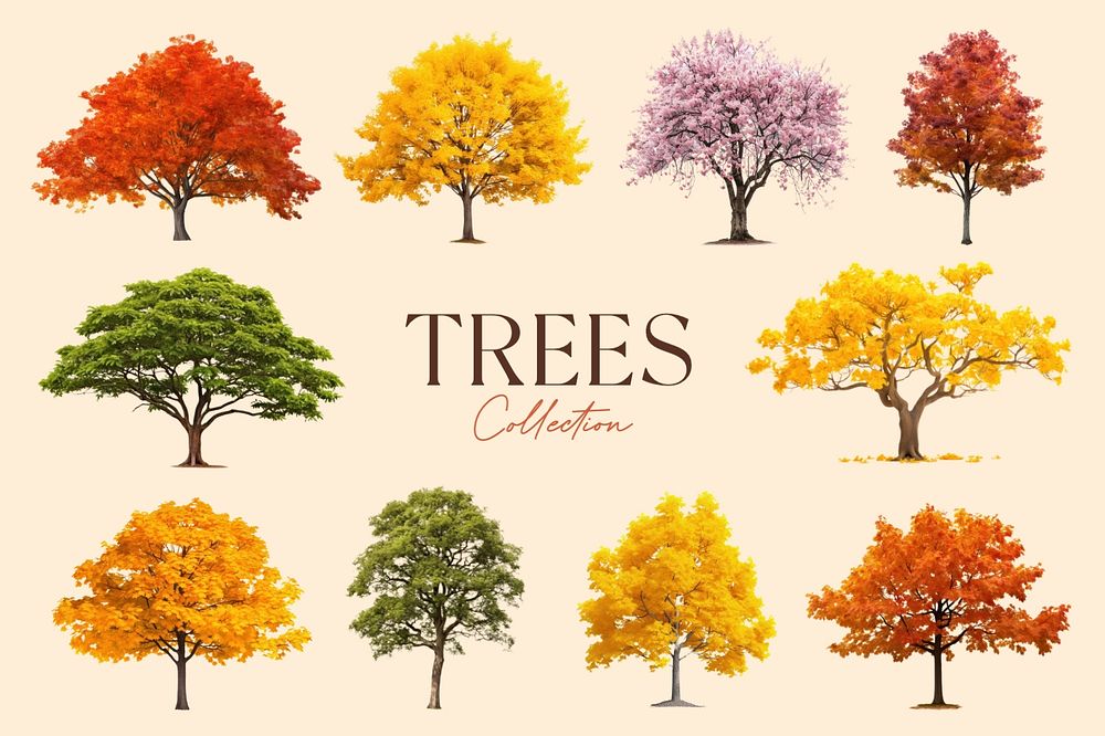 Autumn tree set, editable design | Premium Editable Design - rawpixel