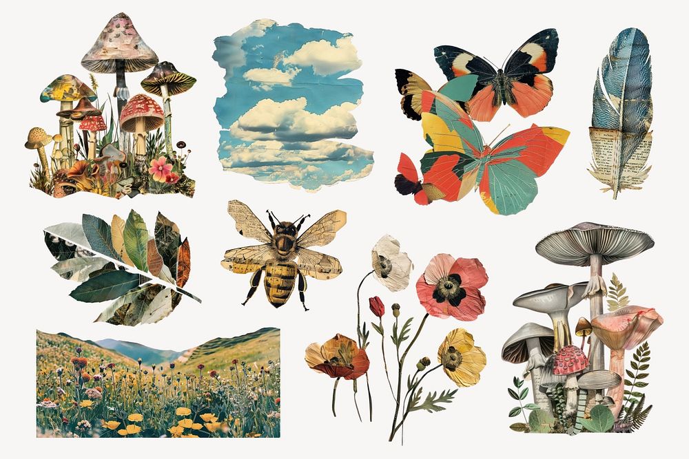 Nature craft collage set, editable | Premium Editable Design - rawpixel