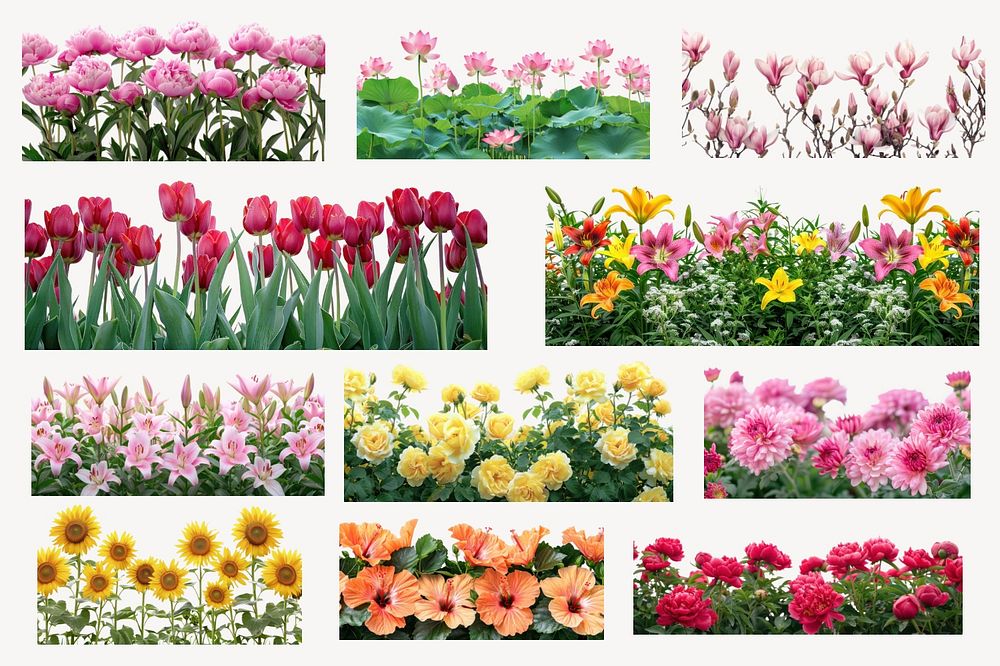 Beautiful flower border set, editable | Premium Editable Design - rawpixel