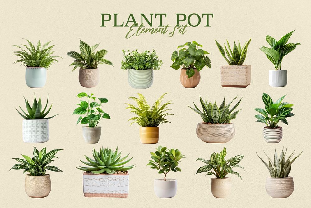 Potted houseplant set, editable design | Premium Editable Design - rawpixel