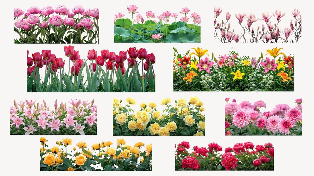 Beautiful flower border set, editable | Premium Editable Design - rawpixel
