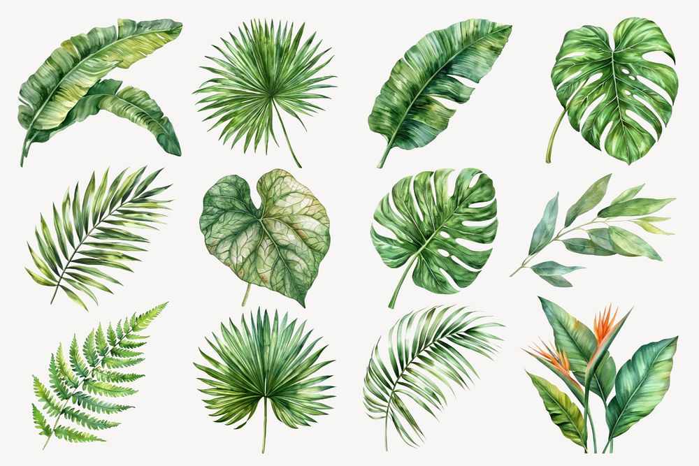Tropical leaf set, editable design | Premium Editable Design - rawpixel