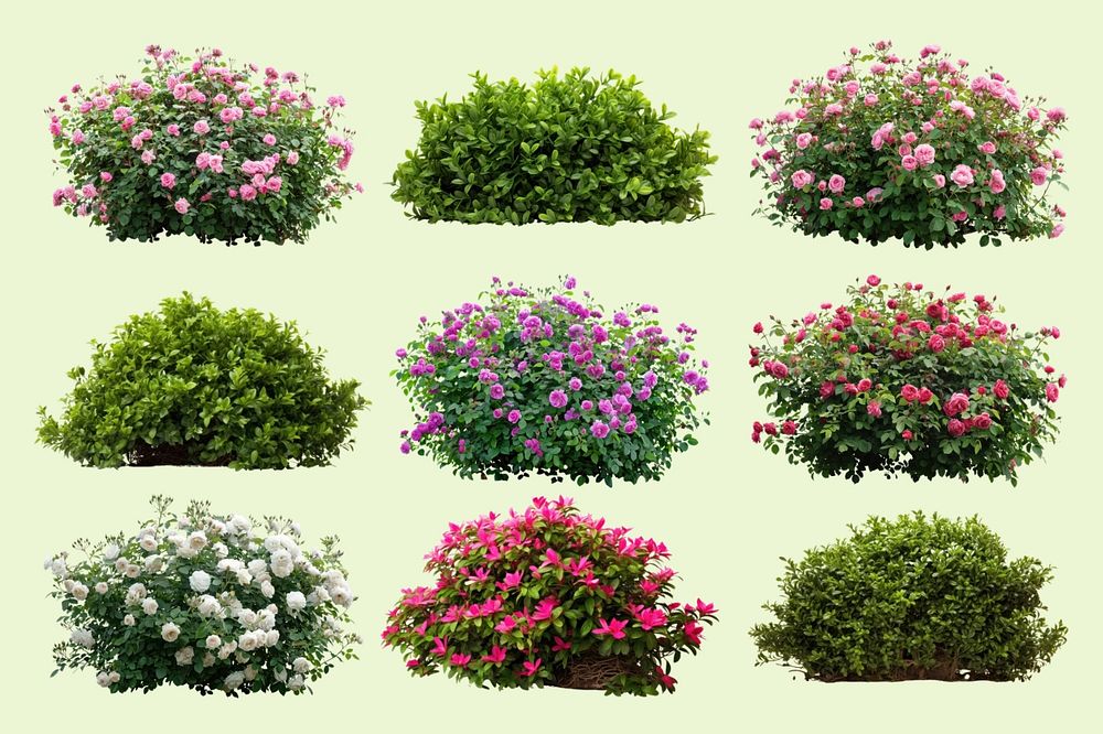 Garden bush set, editable design | Premium Editable Design - rawpixel