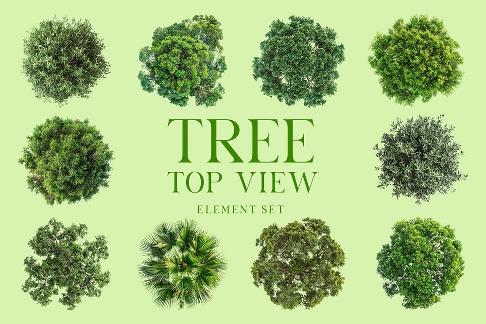 Tree top view set, editable | Premium Editable Design - rawpixel