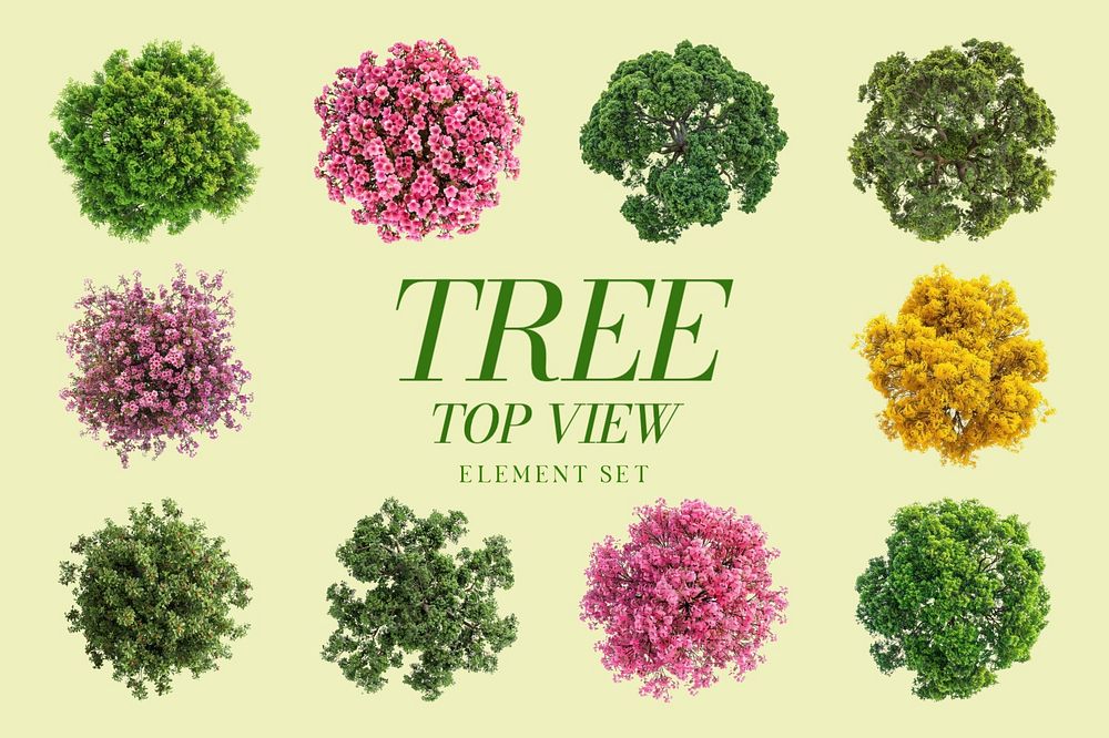 Top view Designs | Free Editable Templates, Logos, Mockups & Remix ...