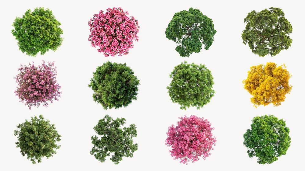 Tree top view set, editable | Premium Editable Design - rawpixel
