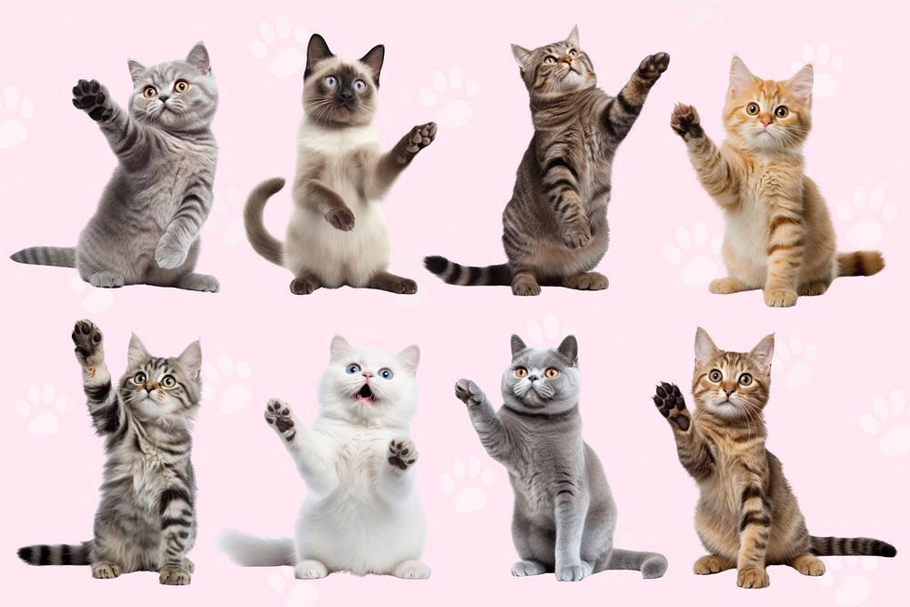 Editable cat waving hand design | Premium Editable Design - rawpixel