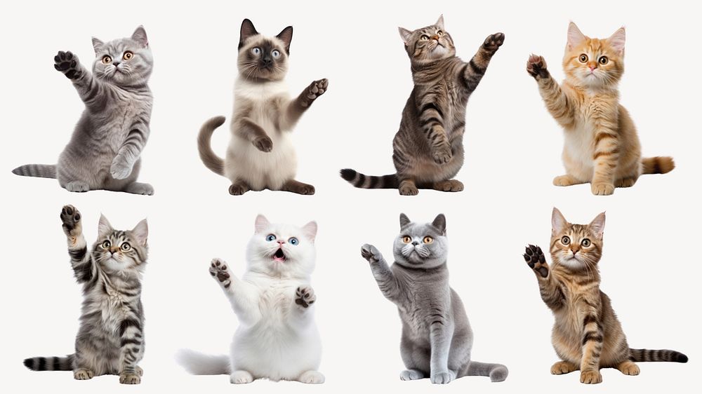 Editable cat waving hand design | Premium Editable Design - rawpixel