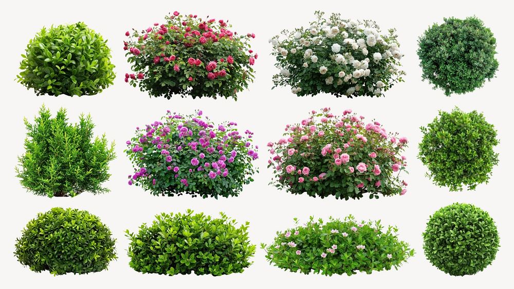 Editable flower bush design element | Premium Editable Design - rawpixel