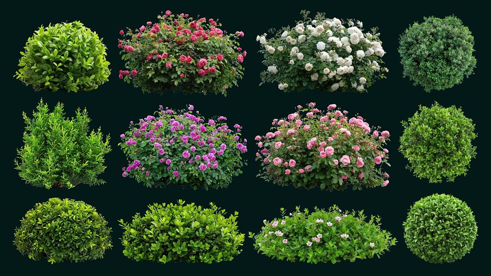 Editable flower bush design element | Premium Editable Design - rawpixel