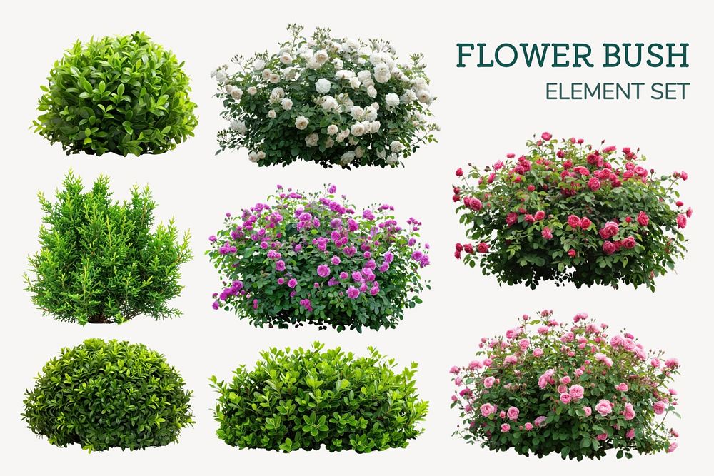 Editable flower bush design element | Premium Editable Design - rawpixel