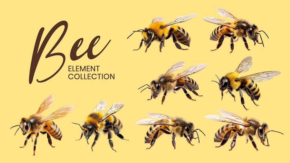 Editable bee insect design element | Premium Editable Design - rawpixel