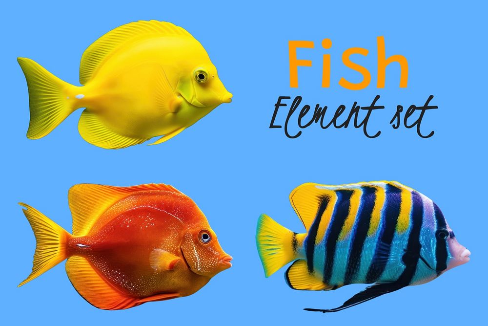 Editable colorful sea fish design | Premium Editable Design - rawpixel