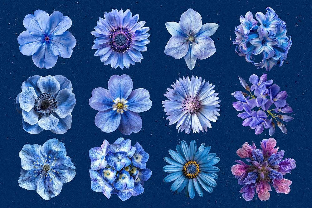 Editable blue flower element set | Premium Editable Design - rawpixel