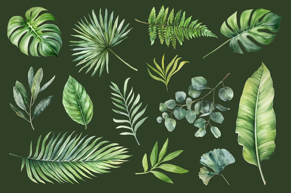 Editable tropical leaves design element | Premium Editable Design ...