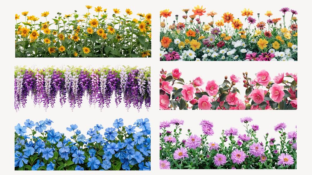 Editable floral border design element | Premium Editable Design - rawpixel