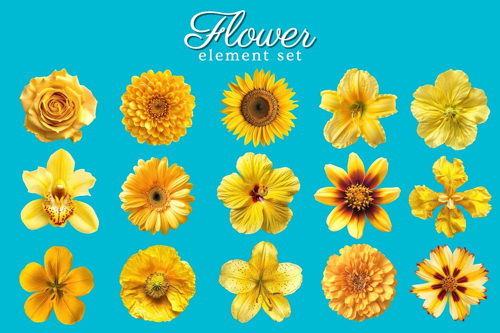 Editable yellow flower design element | Premium Editable Design - rawpixel