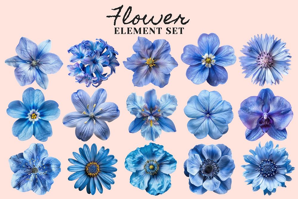 Editable blue flower element design | Premium Editable Design - rawpixel