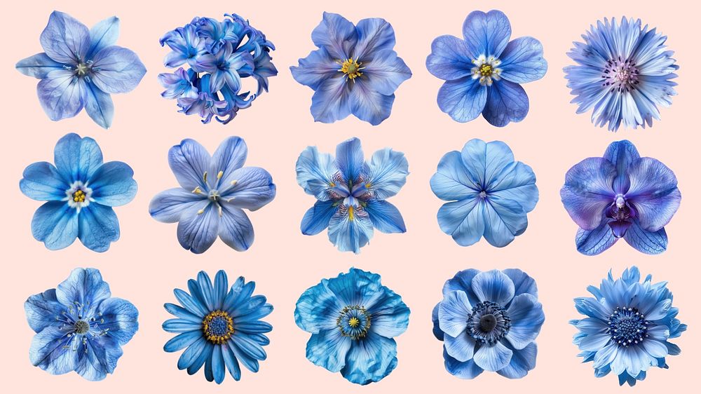Editable blue flower element design | Premium Editable Design - rawpixel