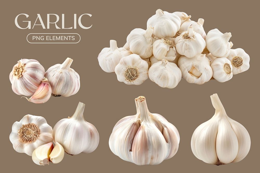 Editable garlic design element set | Free Editable Design - rawpixel