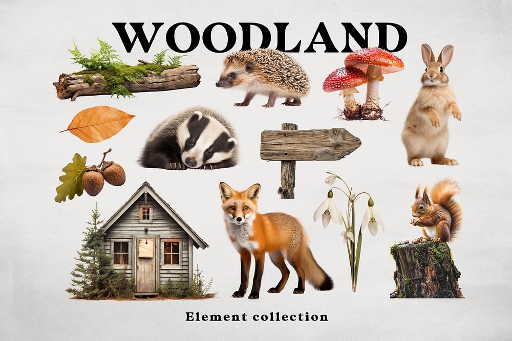Editable woodland design element set | Premium Editable Design - rawpixel
