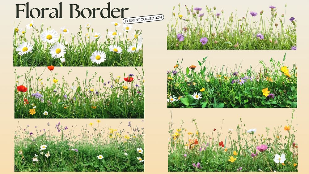 Editable wildflower border design element | Premium Editable Design ...