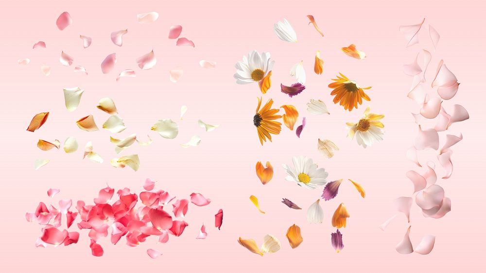 Editable falling flower petal design | Premium Editable Design - rawpixel